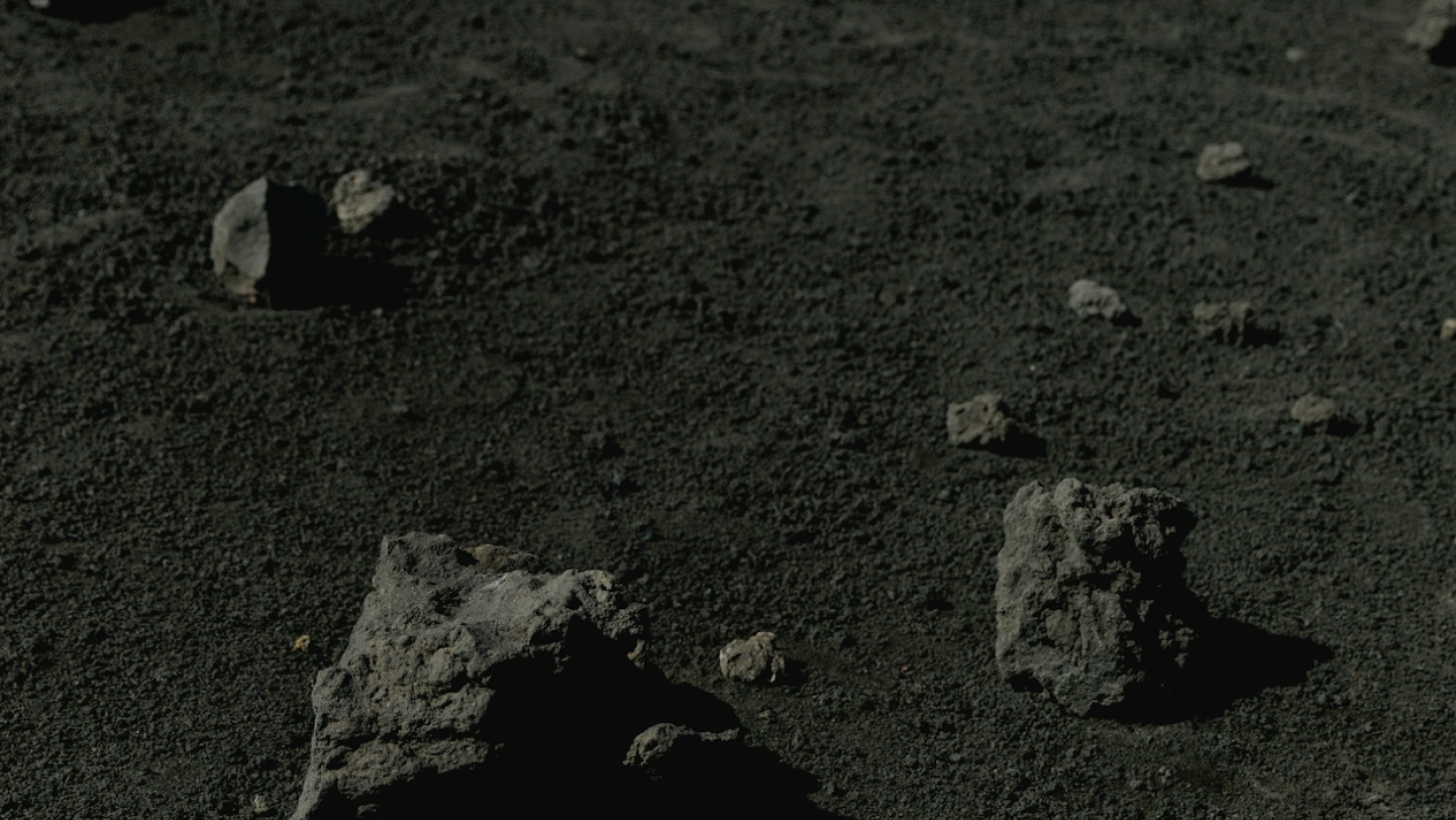 Diagnosis - Carbon Responsible